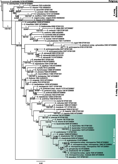 Phylogenetic Tree Resulting From Bayesian Analysis Of The Rpb2 Download Scientific Diagram