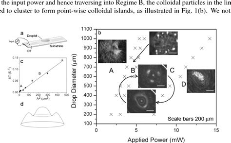 A Schematic Depiction Of The Experimental Setup B Interfacial Download Scientific Diagram