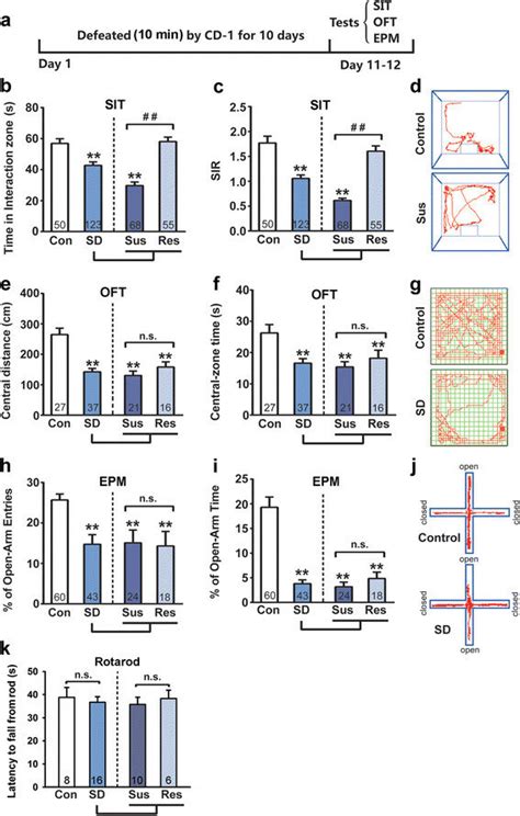 Social Defeat Sd Stress Induced Social Avoidance And Anxiety Like Download Scientific Diagram