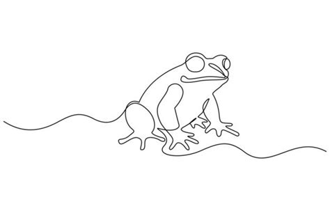 Frog Line Drawing Vector Art Icons And Graphics For Free Download