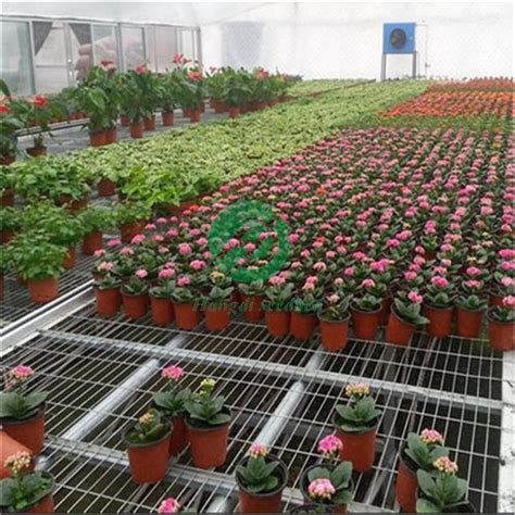 Agricultural Hydroponic System High Quality Rolling Ebb And Flow Rolling Logistics Seedbed Bench