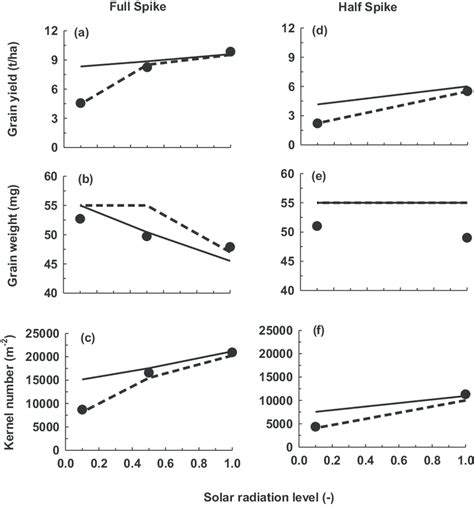 Grain Yield Grain Weight And Kernel Number Of Wheat Grown At