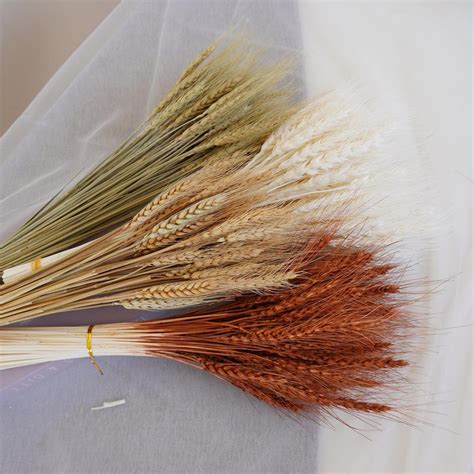 Natural Dried Wheat Stems Home Floral Arrangement 100 Stems Etsy