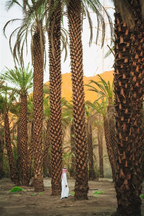 Business Success In Saudi Arabia A Guide To Digital Transformation In Saudi Arabia The Swiss