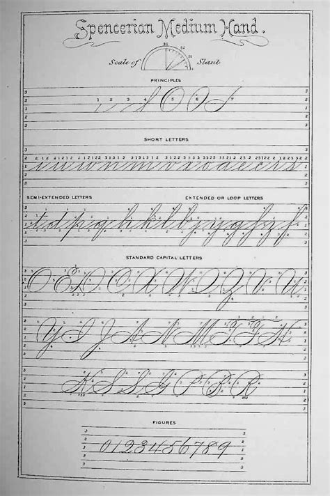 Im Hooked Experimenting With Some Spencerian Script R Penmanshipporn