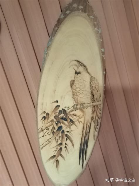 《穿行绝美雨意水杉林》宇宙之尘 知乎