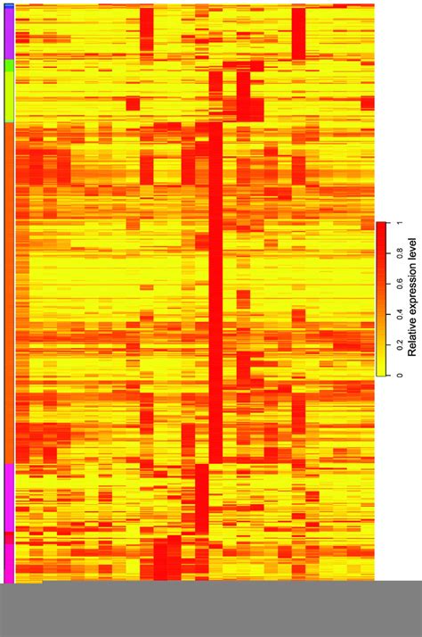 Tissue Specific Gene Expression Heatmap Transcripts With Rpkm Values