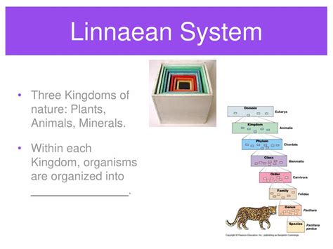 Systematics Chapter Ppt Download