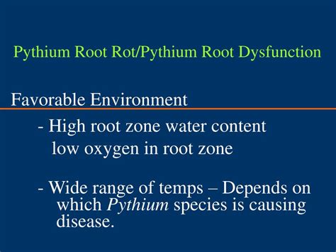 Ppt Pythium Root Rot Pythium Root Dysfunction Powerpoint Presentation Id 4865121
