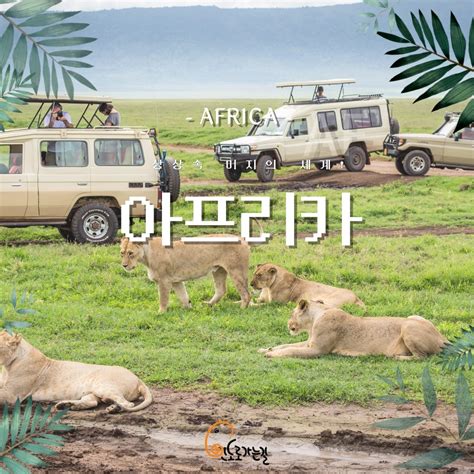 인도로가는길 북아프리카3개국 23일 🇲🇦🇹🇳🇩🇿 아틀라스 산맥을 넘고 다데스 계곡을 지나는 아프리카 최대의 사막 사하라를 시작으로 모로코 튀니지 알제리로 떠나는 역사와