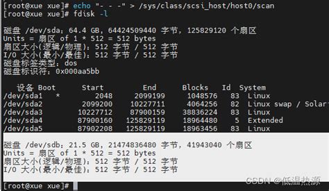 linux磁盘管理：分区、格式化与挂载详解 csdn博客
