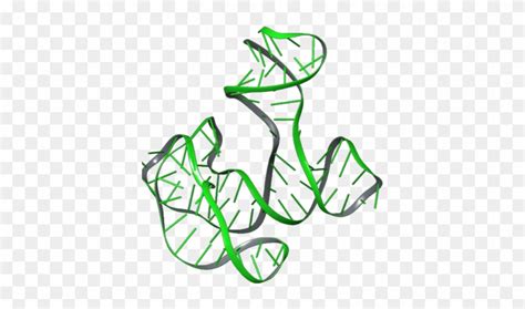 The 3 Hbv Surface Antigen Known Aptamers As Predicted Aptamer 3d