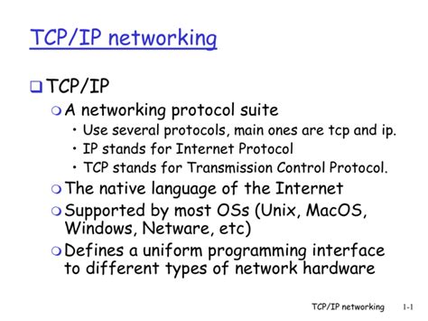 TCP IP Networking Protocols Addressing And Routing