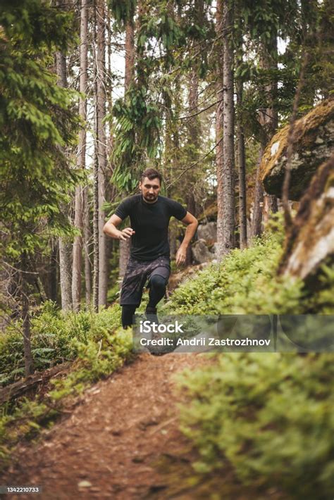 고독과 자연과의 조화 산에서 스포티 한 하이킹 숲 트레일에서 조깅 운동 선수에 대한 스톡 사진 및 기타 이미지 운동 선수 자연 35 39세 Istock