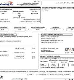 Usa Credit Card Statement