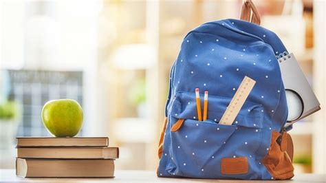 Les Programmes Scolaires De Lécole Primaire