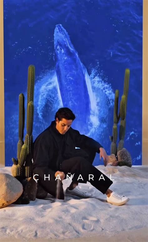 Máximo Menem Bolocco Lanzó Su Primera Colección De Zapatillas