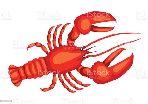 레드 랍스터입니다 흰색 배경에서 해산물의 고립 된 그림 바닷가재에 대한 스톡 벡터 아트 및 기타 이미지 바닷가재 랍스터 해산물 벡터 Istock