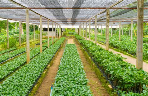 Aatf And Auda Nepad To Promote Agricultural Research And Commercialisation In Africa Auda Nepad