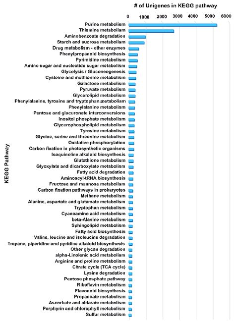 Functional Annotation Of The A Carmichaelii Transcriptome Assembly By