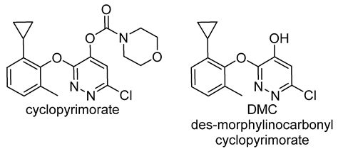 Current Status And Future Prospects In Herbicide Discovery