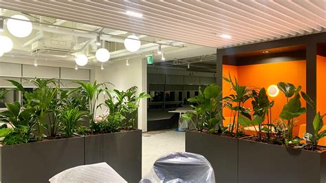 123 우리와 함께 하는 고객 오피스가든ㅣ플랜테리어 사무실 식물 화분 관리 전문