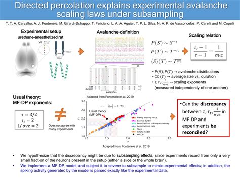 virtual poster 5 directed percolation explains experimental