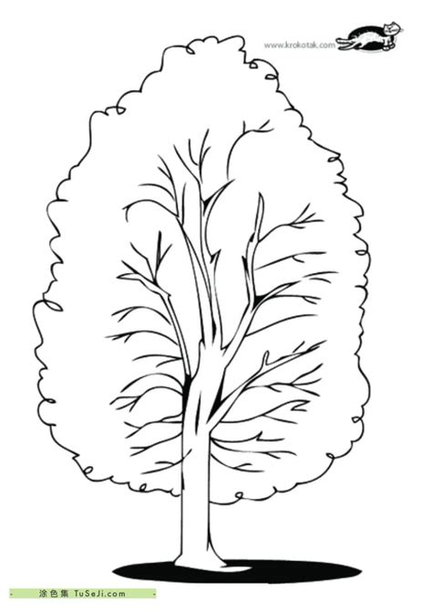 10张叶子玉米大树榛果郁金香水仙花有趣的涂色儿童简笔画！ 涂色集，涂色画打印大图