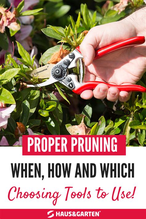 Proper Pruning Techniques
