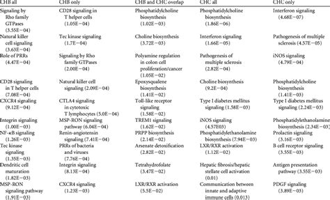 Top 10 Most Significantly Enriched Pathways By Pathway Enrichment