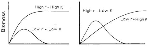 Two Dynamically Different Approaches To An Equilibrium Where Only The Download Scientific