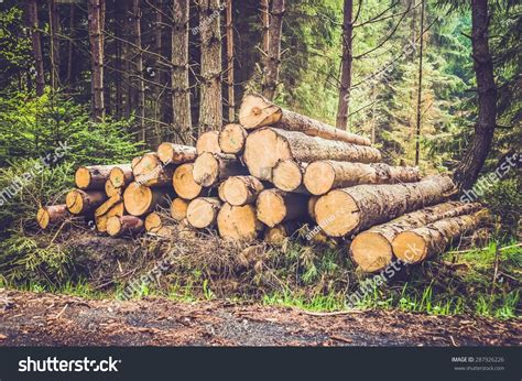Wood Logs