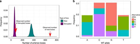 Non Random Processes Impact The Emergence And Disruption Of Pribnow Download Scientific Diagram