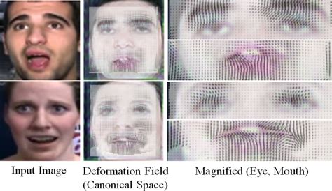 Deformation Field Visualization Input Images Are Aligned In The