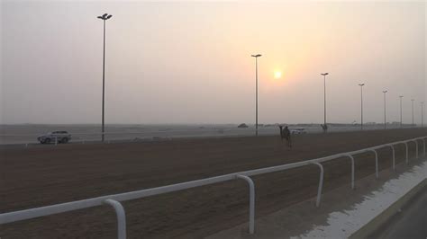 ش2 قعدان لقايا مسيكان كردي بن عنتر المنخس 63500 Youtube