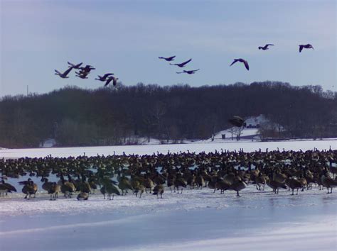 custom handheld pi zero hq camera