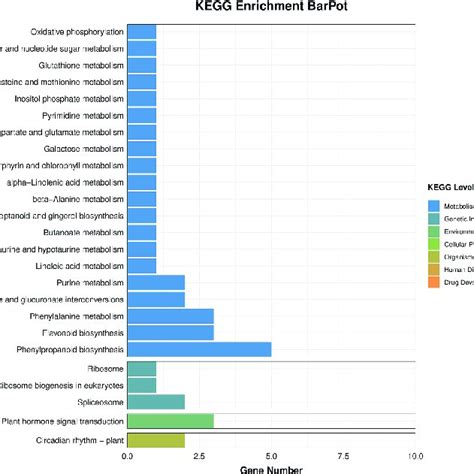 Classification Of Differentially Expressed Genes Total Gene Counts Of Download Scientific