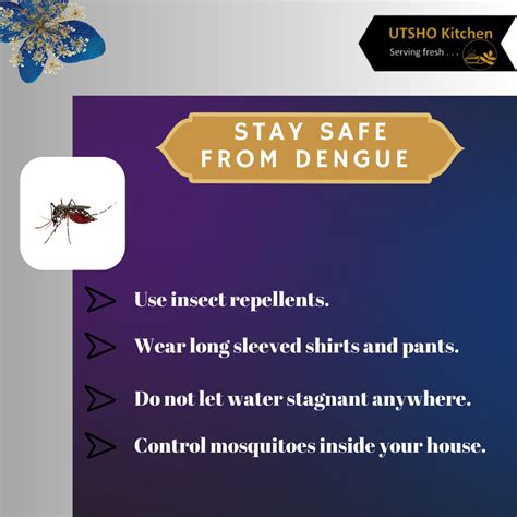 Utsho Kitchen Dengue Break Bone Fever Is A Vital