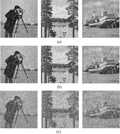 Salt And Pepper Noise A 0 05 B 0 1 C 0 3 Reproduced From Download Scientific Diagram