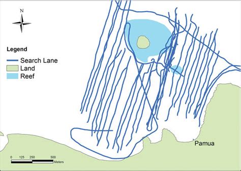Tracks Of Actual Remote Sensing Survey Undertaken At Pamua Brad