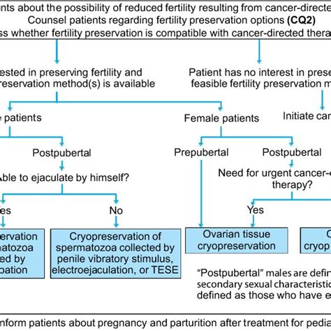 Algorithm For Fertility Preservation In Pediatric Cancer Patients Download Scientific Diagram