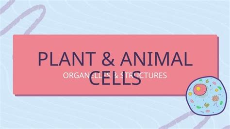 Elodea Plant Cell Structure Pdf Biological Sciences Science