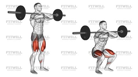 Barbell Front Squat Exercise Guide Video Techniques Benefits How