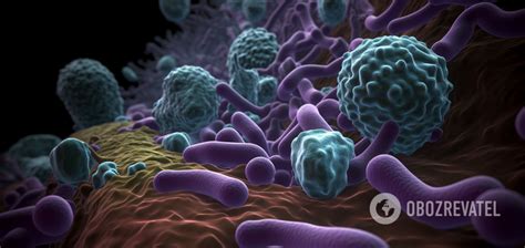 Deadly Bacteria In The Human Body What Scientists Know About