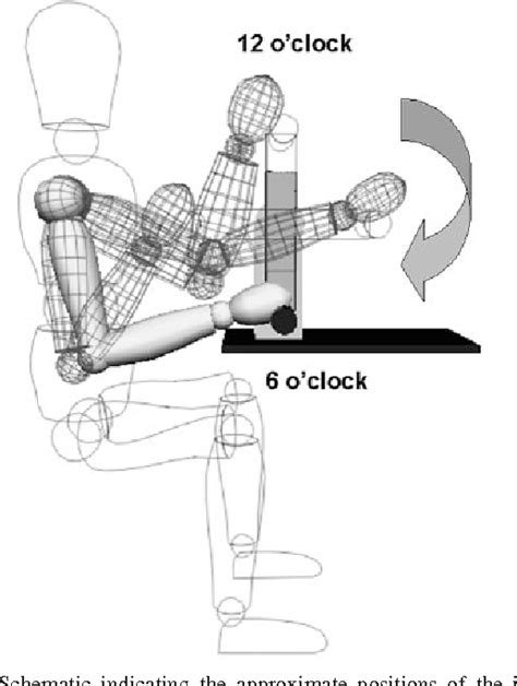 Figure 1 From Neural Control Of Rhythmic Human Arm Movement Phase Dependence And Task
