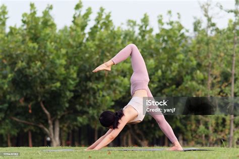 숲 배경으로 초원의 매트에 맨발로 요가를 연습 하는 중년 스포티 한 매력적인 여자 운동 스포츠웨어 바지와 상단을 입고 야외 전체