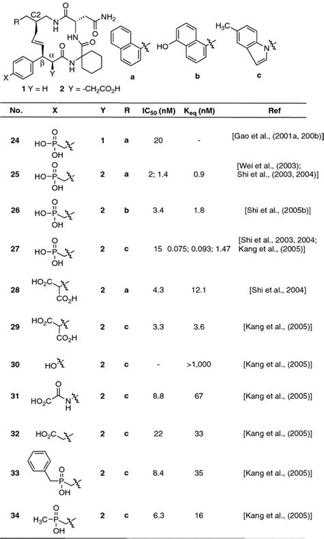 Development Of Grb2 Sh2 Domain Signaling Antagonists A Potential New