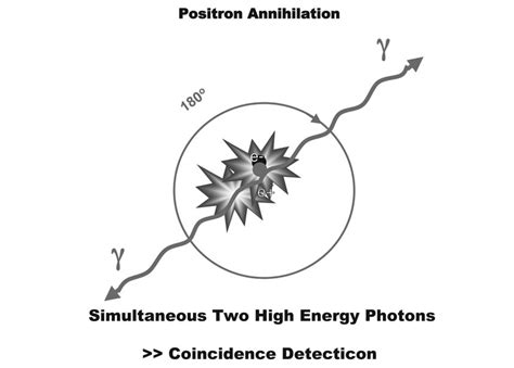 Positron Annihilation Coincidence Photon Detection Download