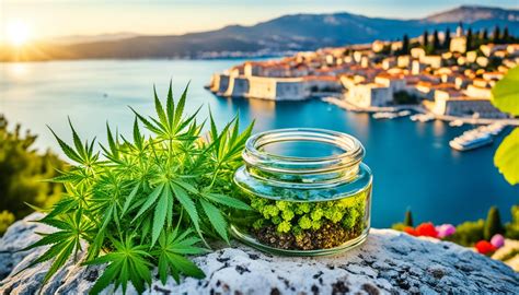 Discover Weed In Split Your Guide To Cannabis High Travel Guide