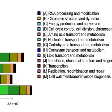 Analysis Of Bacterial Cog Gene Prediction And Clustering Information Of Download Scientific